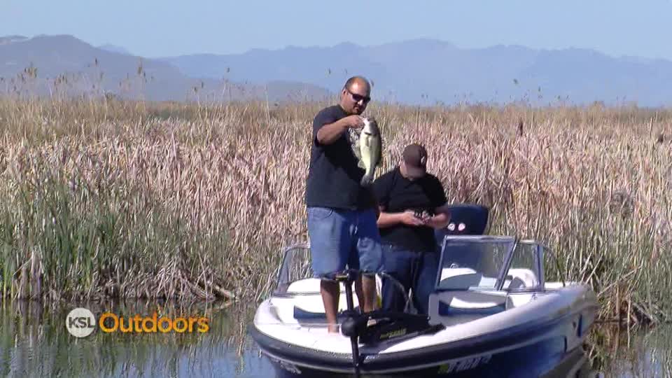 KSL Outdoors: Fishing Utah Lake for walleye and bass - KSL Outdoors