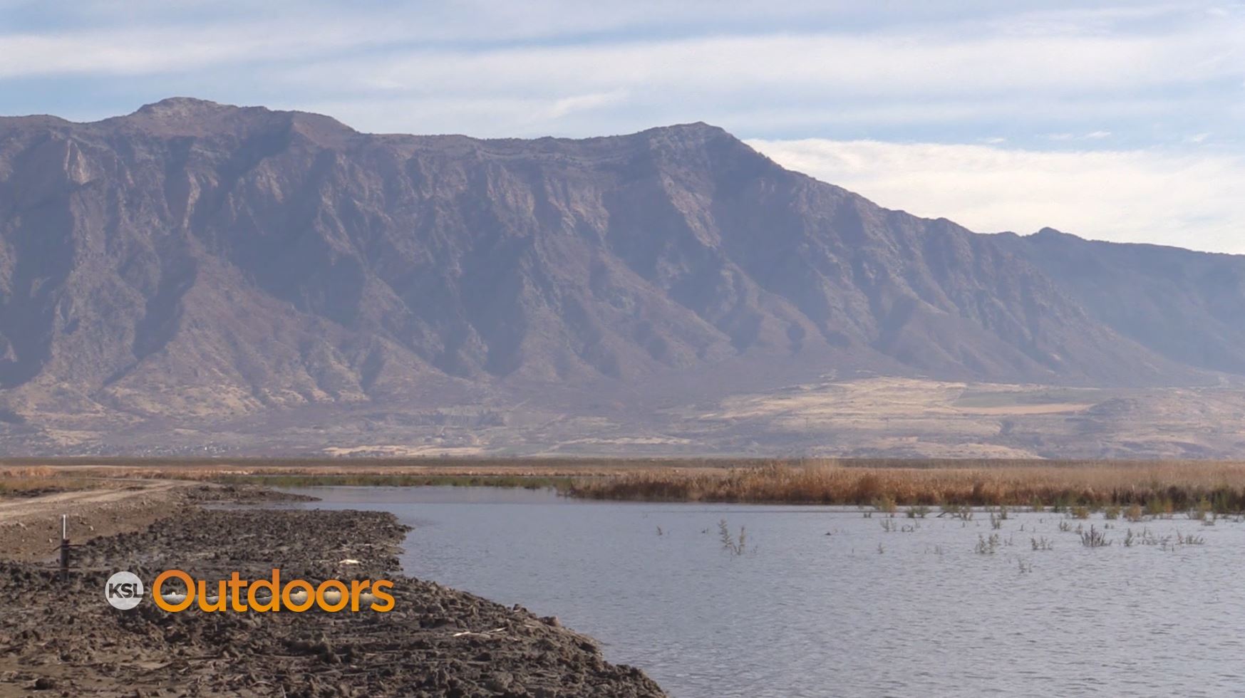 Utah Field Guide: Updates to Harold Crane W.M.A - KSL Outdoors