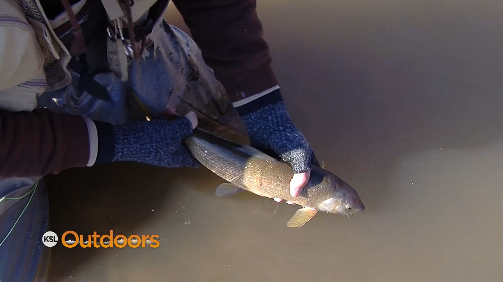 Fish Tech Fishing Tip: How to Catch Whitefish - KSL Outdoors