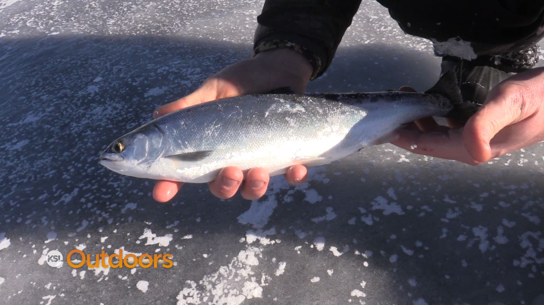Ice Fishing for Kokanee and Trout at Strawberry Reservoir - KSL Outdoors