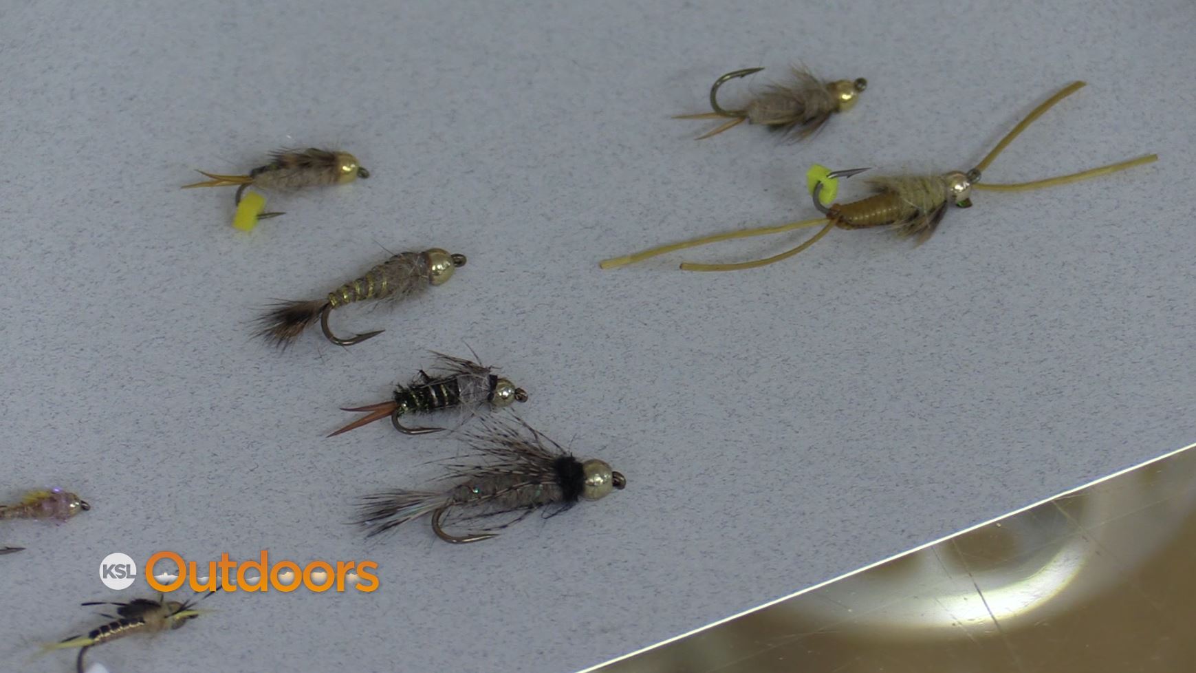 Fish Tech Fishing Tip: Choosing the Right Flies for Early-Summer ...