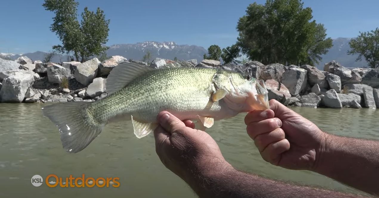 Utah Lake Fishing for Bass and Catfish - KSL Outdoors
