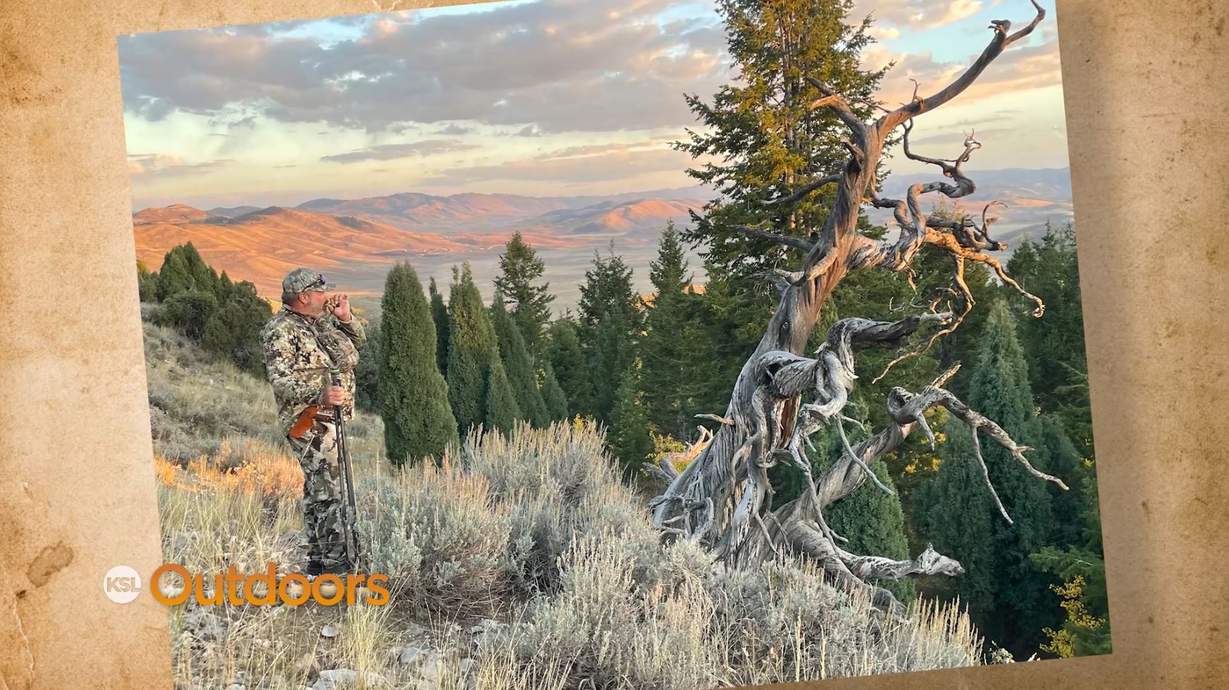 Snapshot of the Week: November 19, 2022