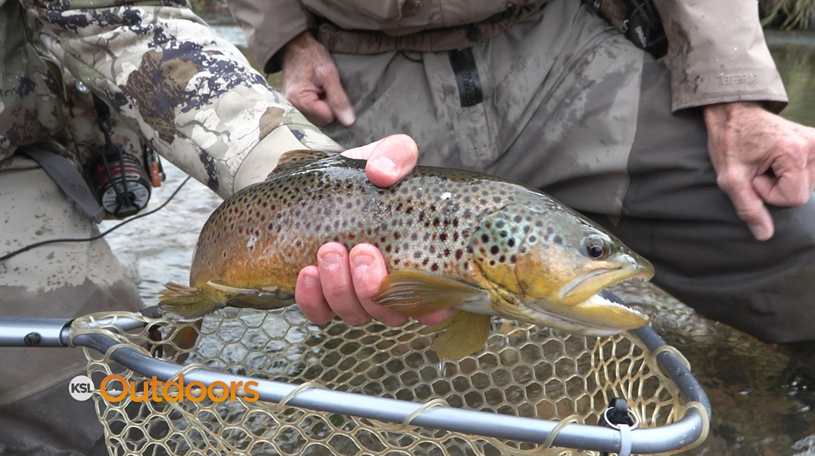 Euro-Nymph Fishing for Big Brown Trout on the Weber River