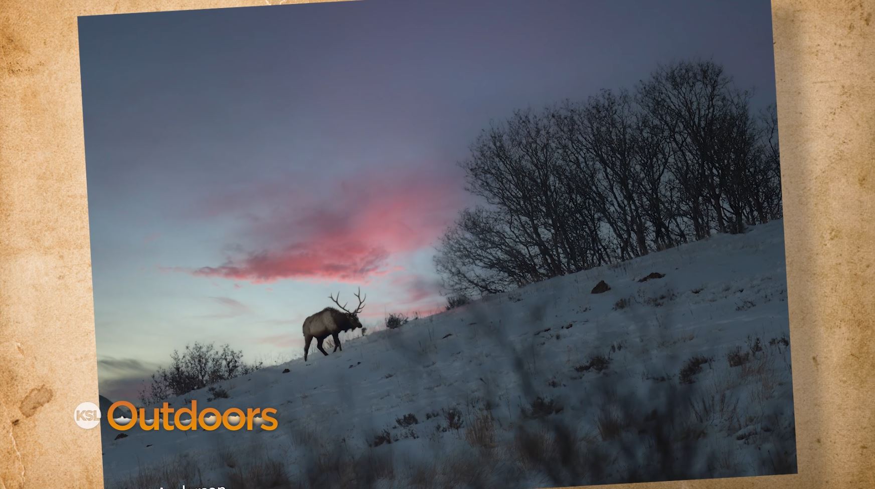 Snapshot of the Week: January 7, 2023