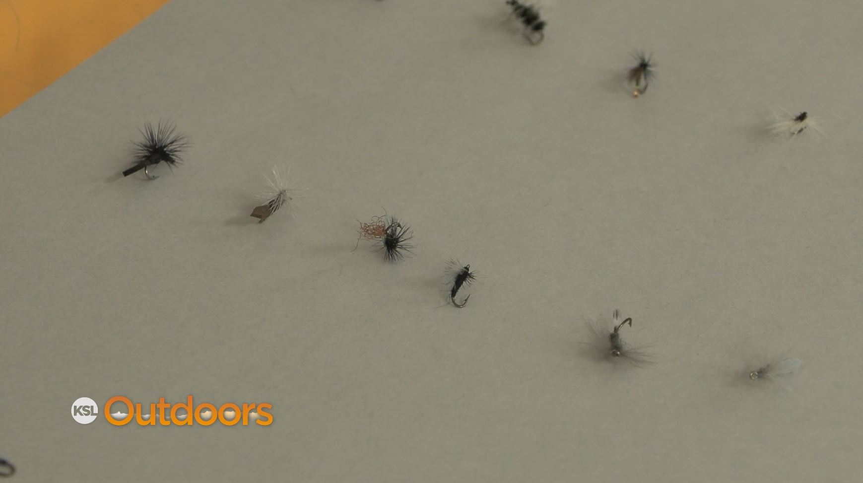 Fish Tech Fishing Tip: Buffalo Midge Report