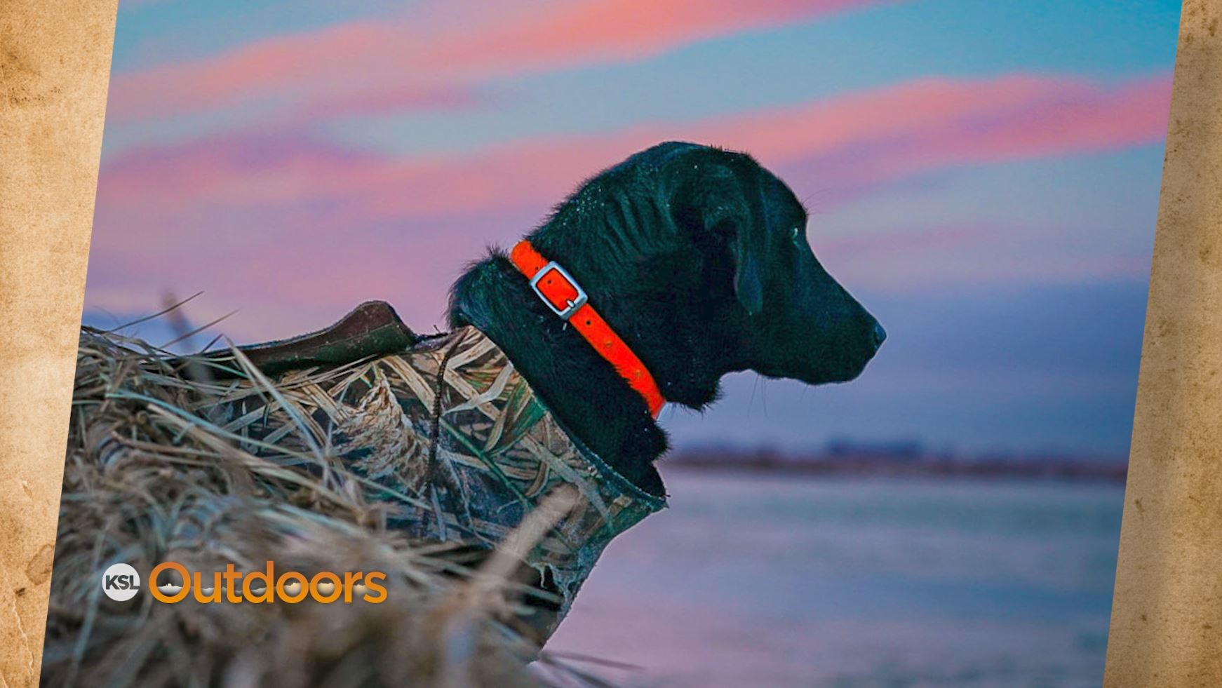 Snapshot of the Week: February 11, 2023