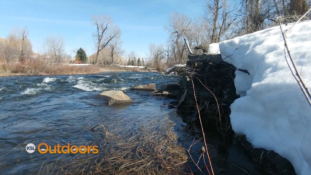 Fish Tech Tip: How to Fish High Water Before Flood Stage