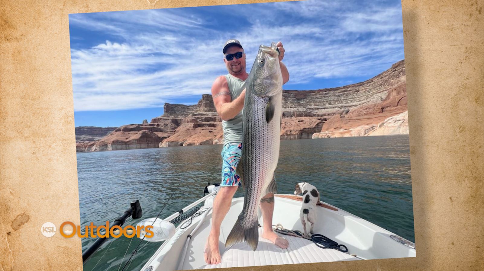 Snapshot of the Week: June 17, 2023