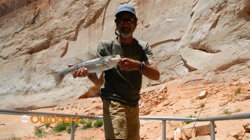 Fish Tech Tip: Summer Fishing at Lake Powell