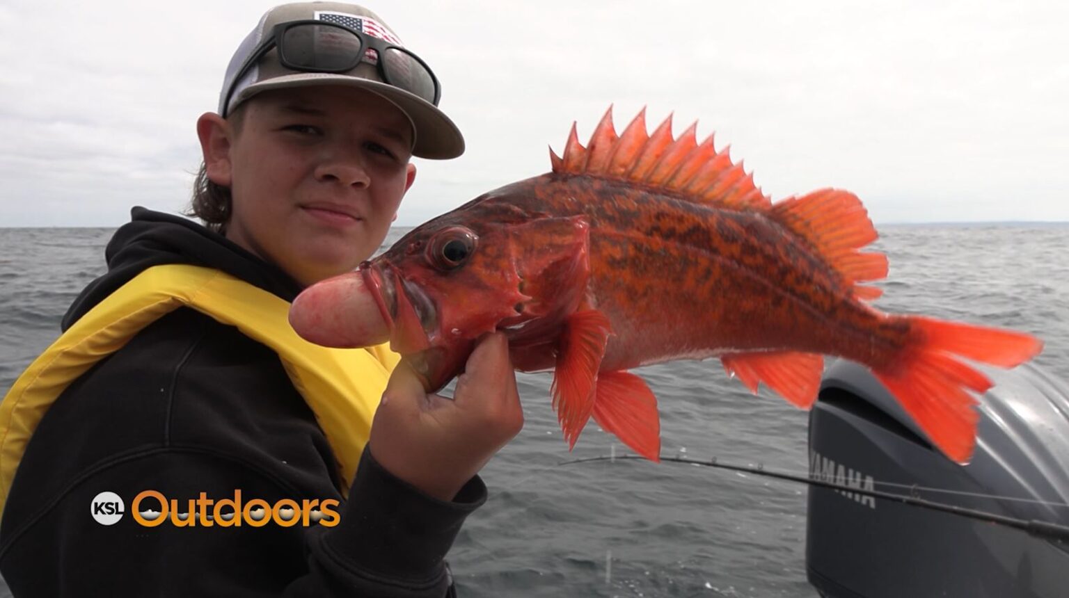 Catching Rockfish off the San Diego Coast