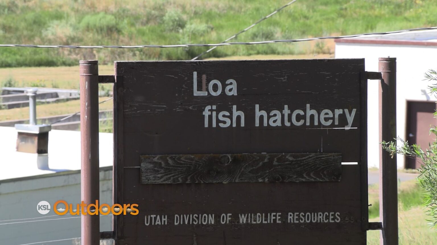Loa, Utah Fish Hatchery to Re-Open with $56 Million Facelift