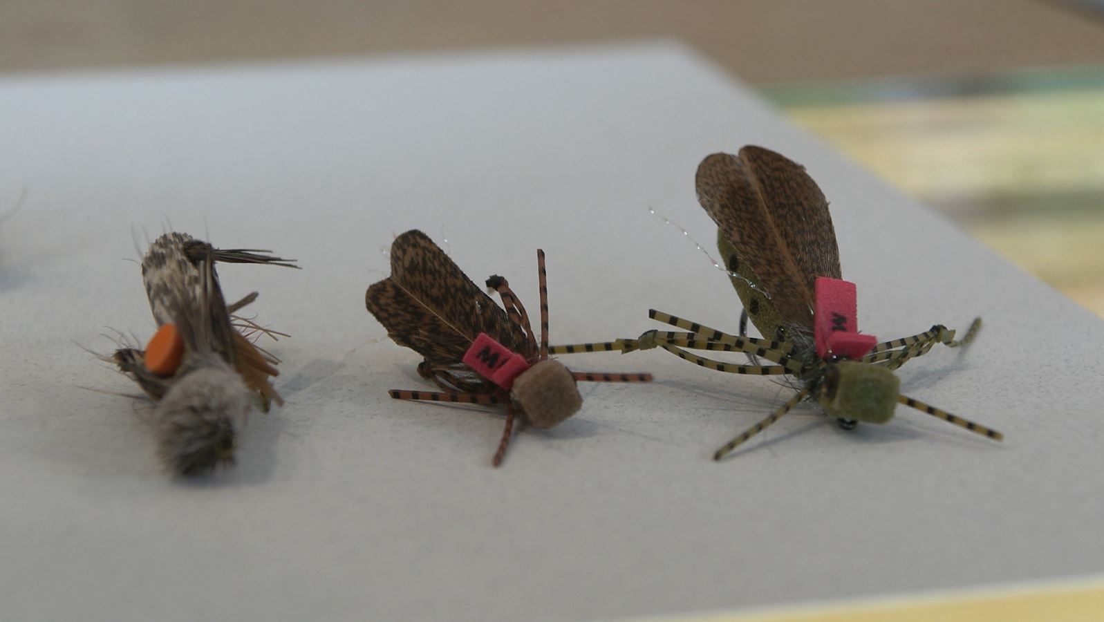 Fish Tech Tip: Hopper Patterns for Late Summer Fly Fishing