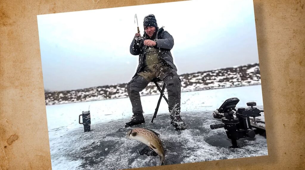 Snapshot of the Week: January 27, 2024