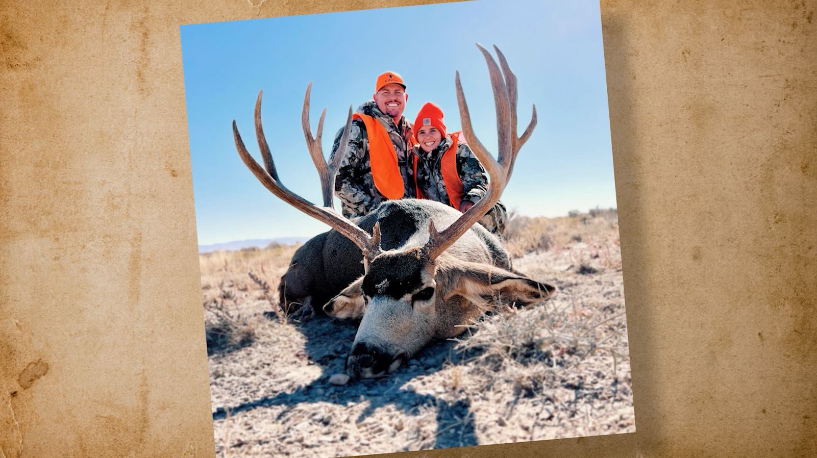 Snapshot of the Week: February 3, 2024