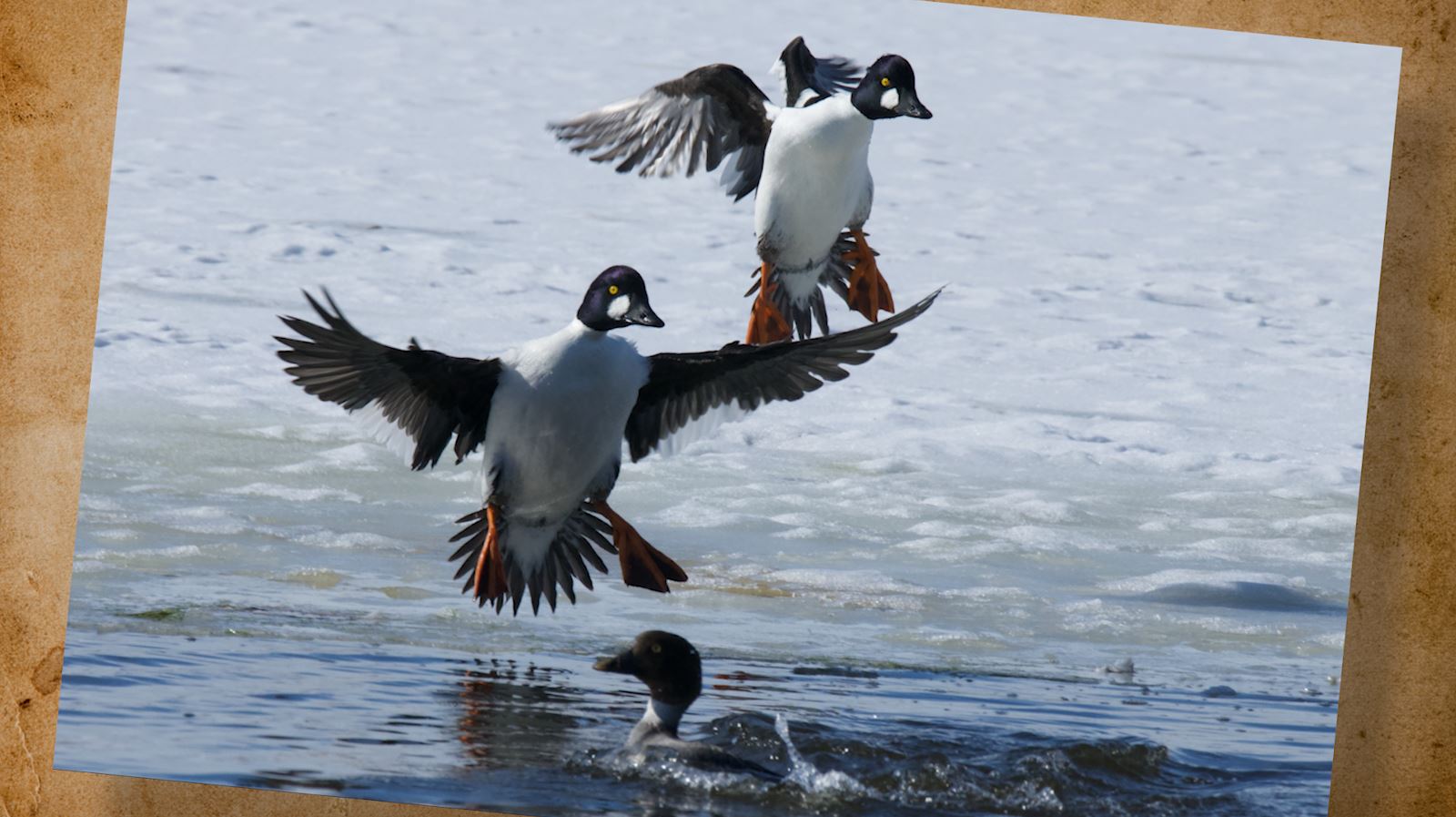 Snapshot of the Week: March 16, 2024