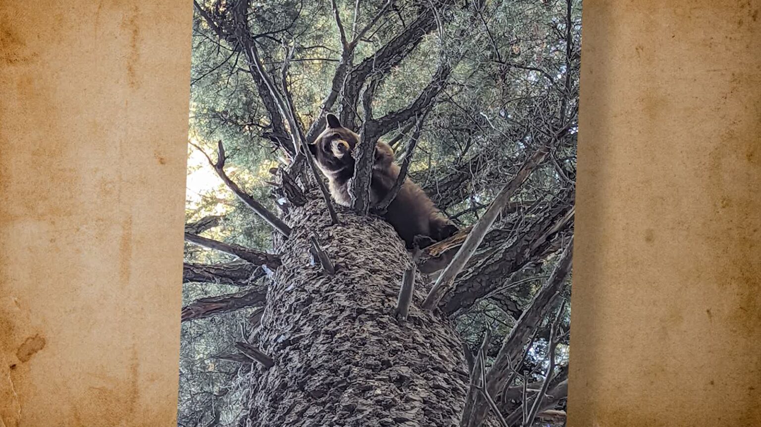 Snapshot of the Week: March 30, 2024