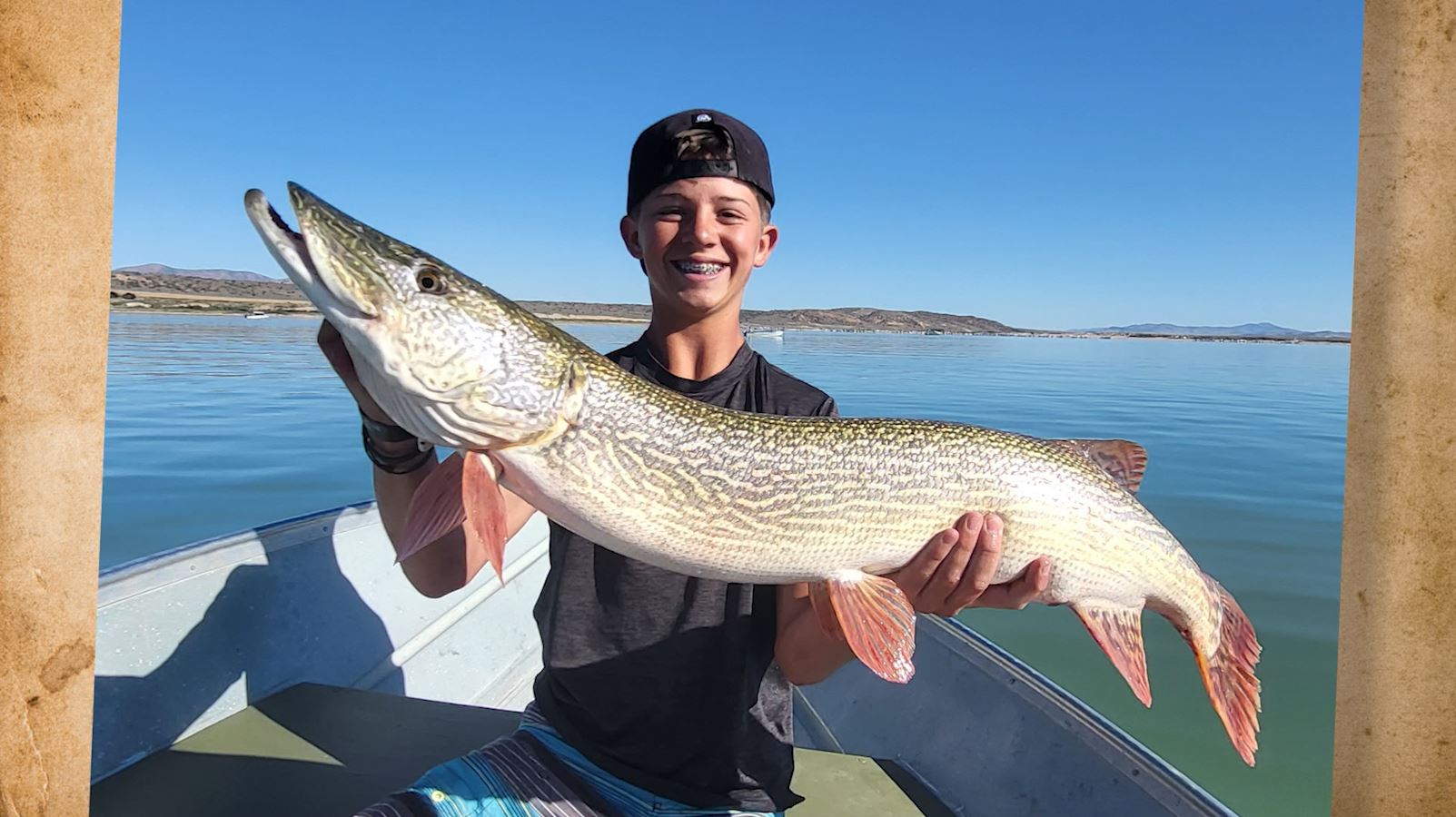 Snapshot of the Week: July 20, 2024