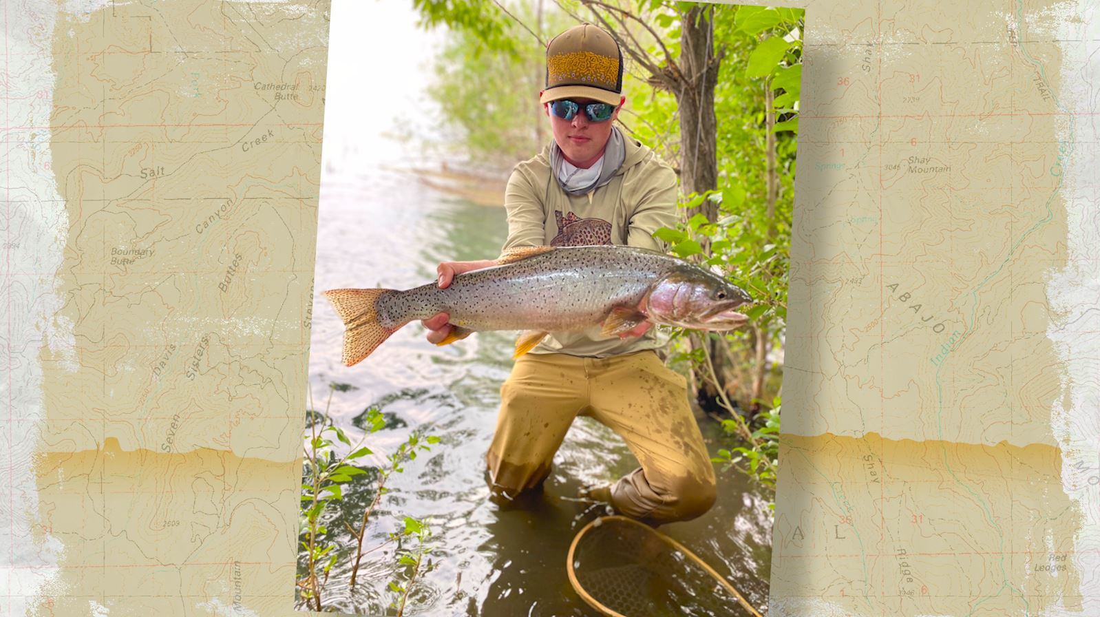 Snapshot of the Week: October 19, 2024